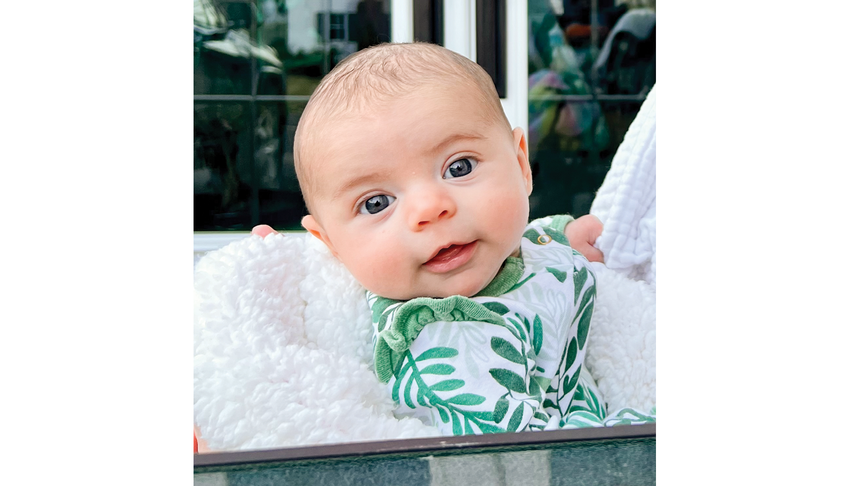 WNE: The Magazine of Western New England - Marriages and Baby Golden Bears