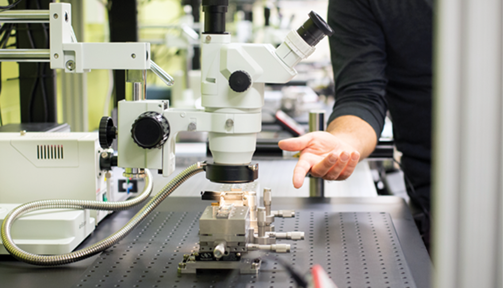 WNE: The Magazine of Western New England - University Joins Northeast ...