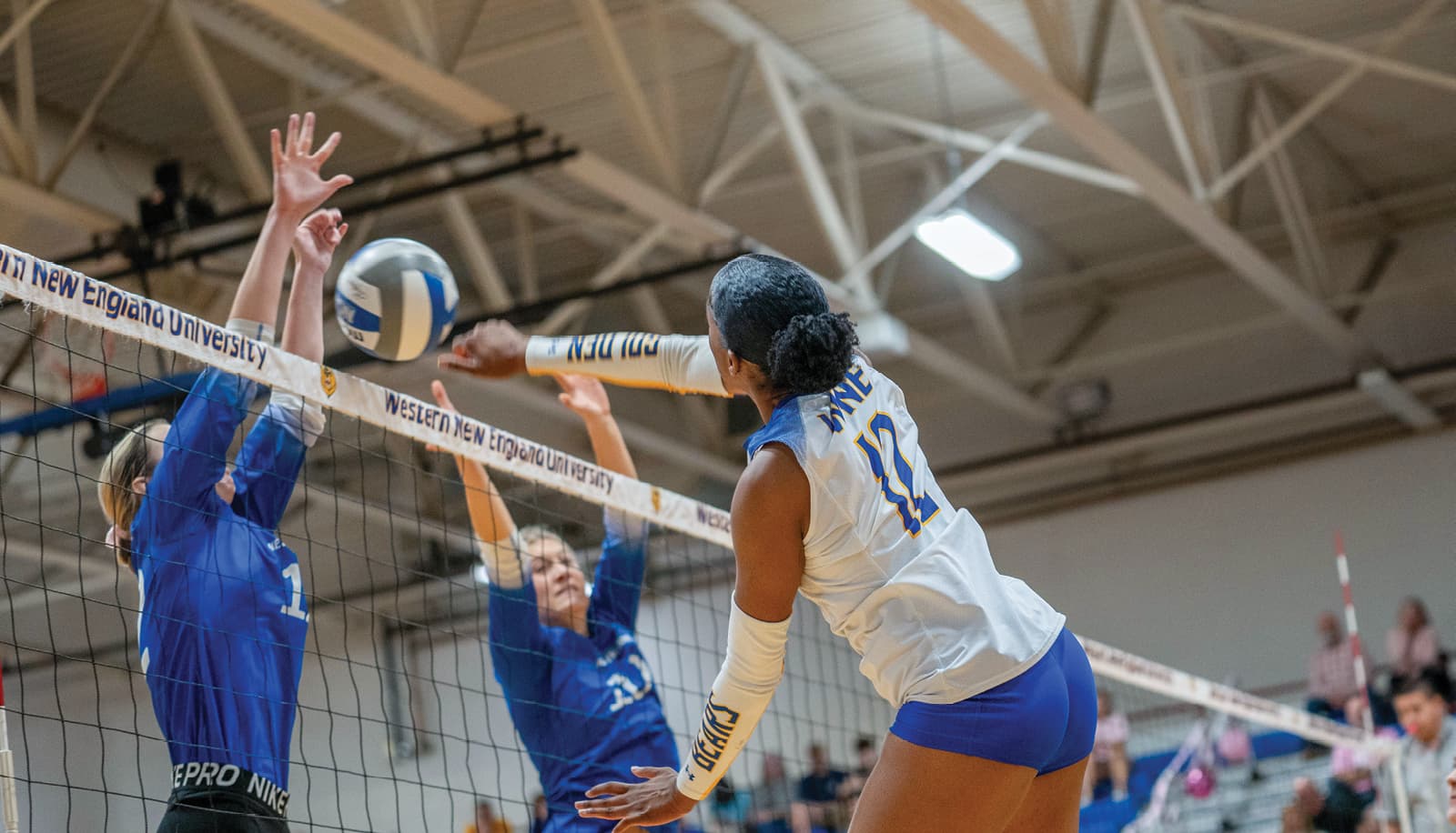 WNE: The Magazine of Western New England - Golden Bear Weekend Brought ...