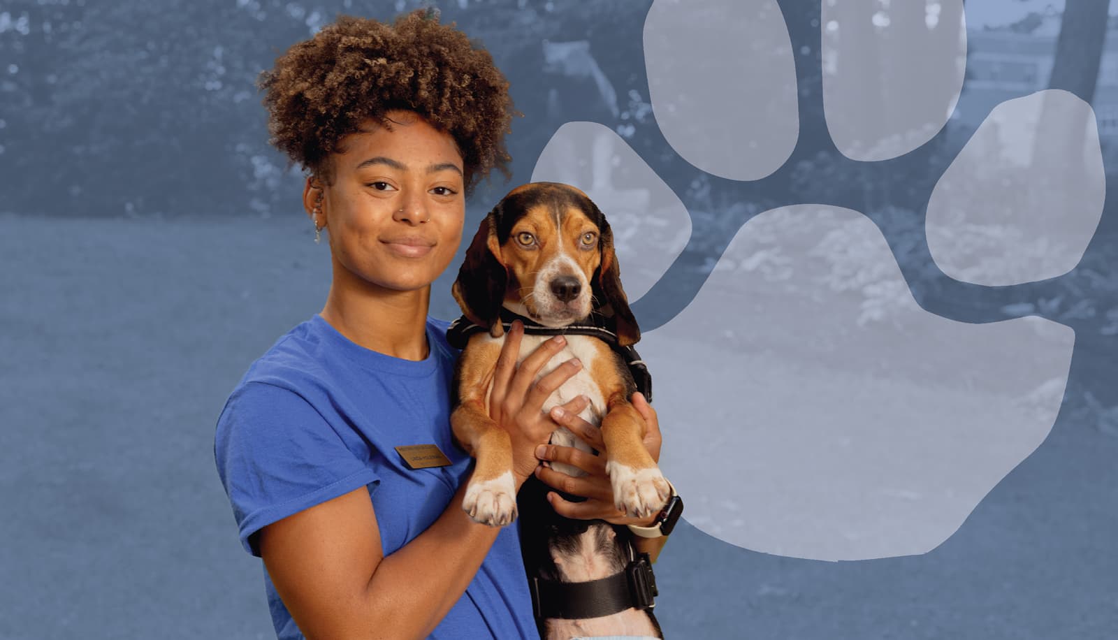 WNE: The Magazine of Western New England - Cub Close Up: Linda Holeman