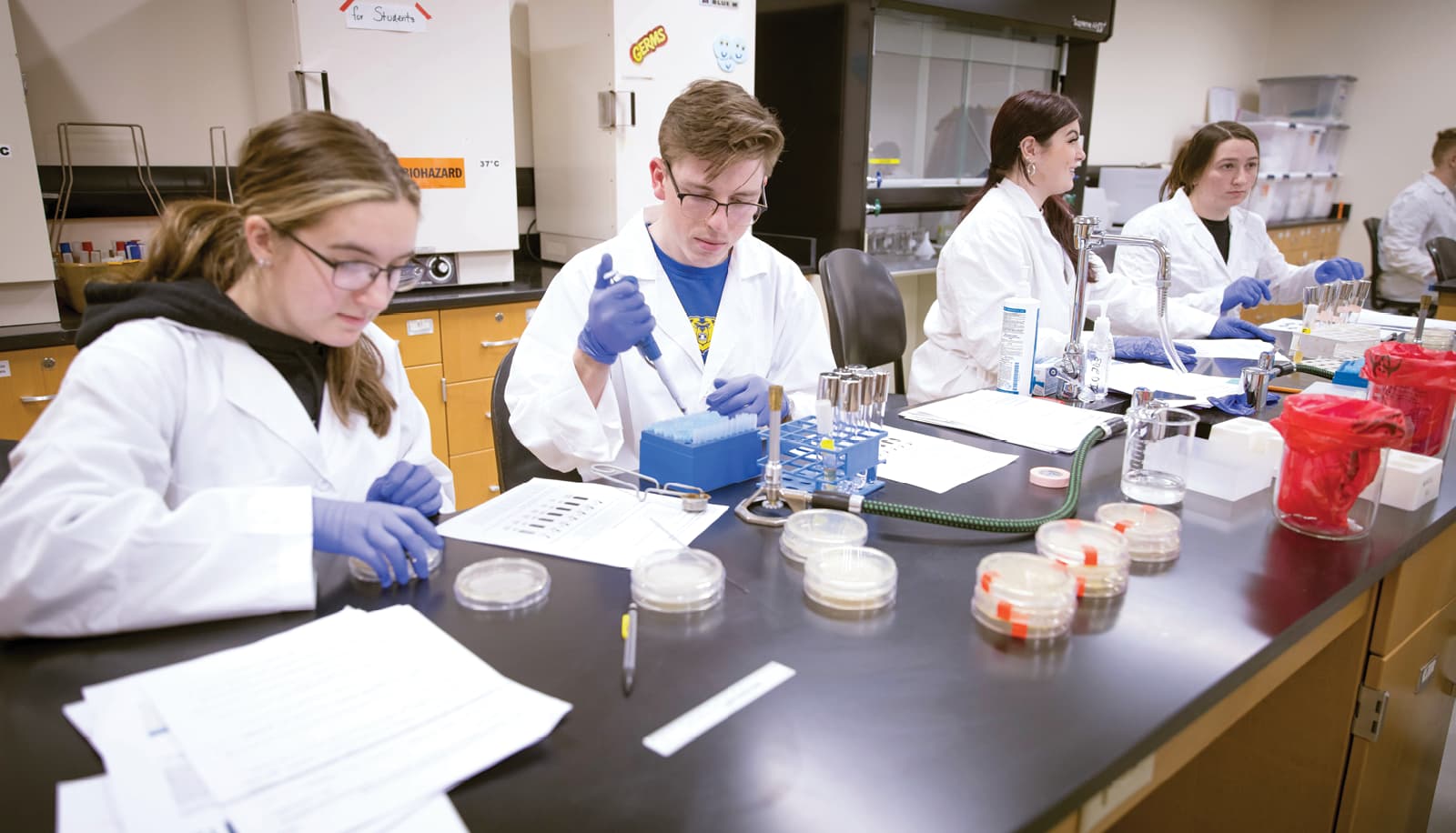 WNE: The Magazine of Western New England - Forensic Biology Program ...