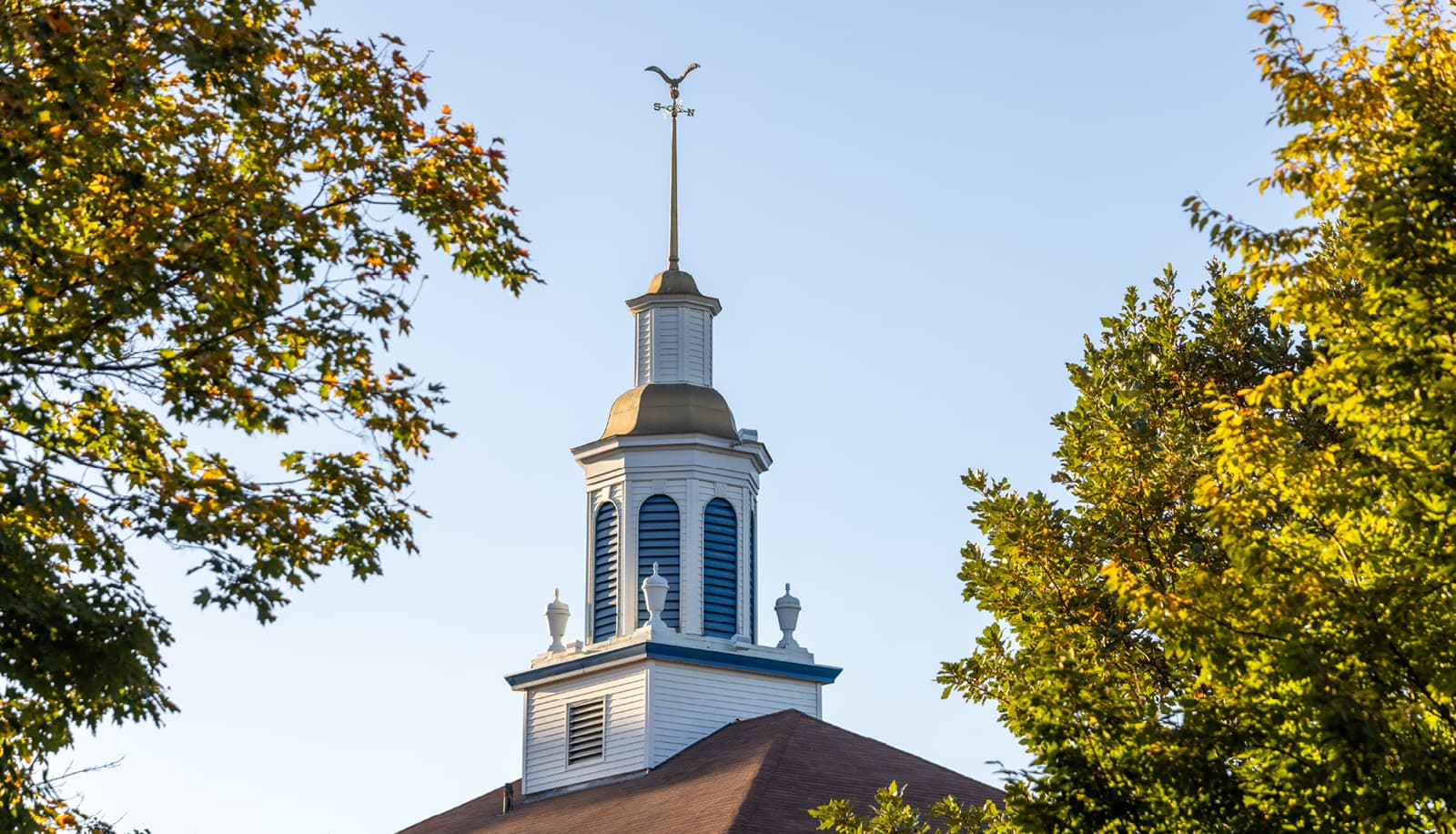 WNE: The Magazine of Western New England - Unrestricted Connections ...